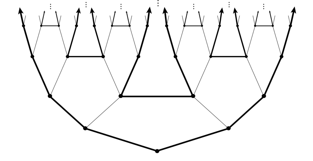Deniz Sarikaya presented results on necessary conditions for locally ...